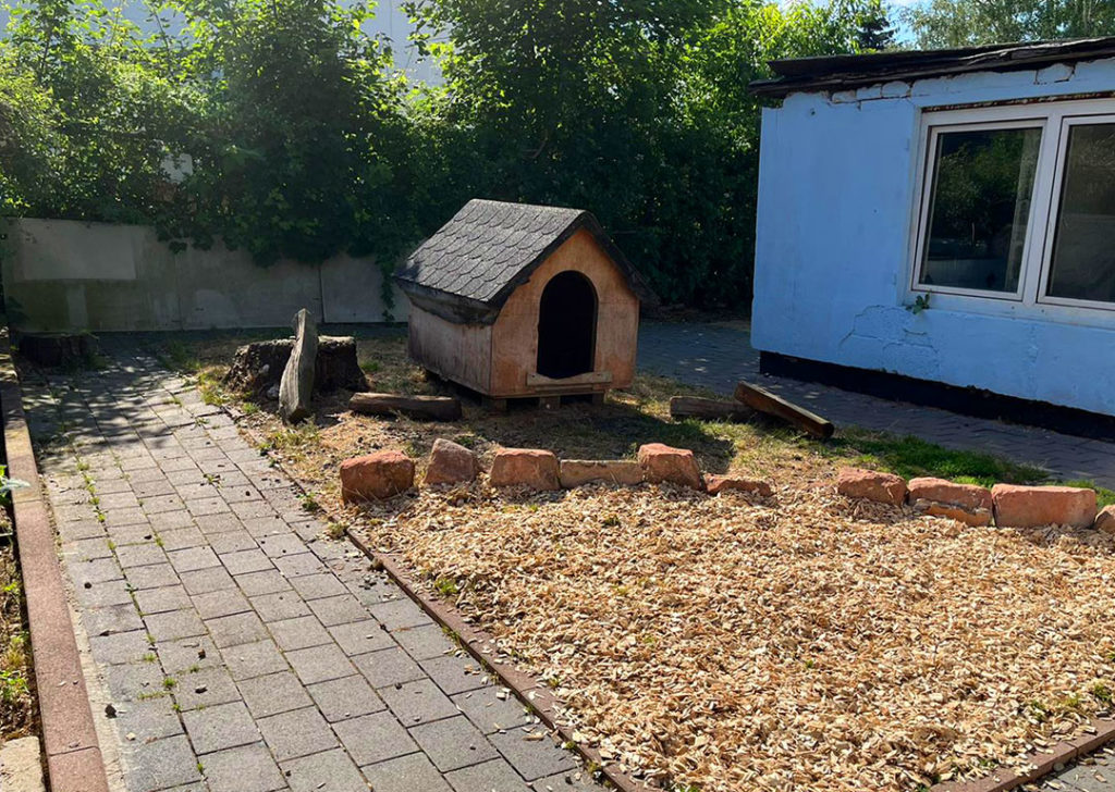 Yanicks Hundepension